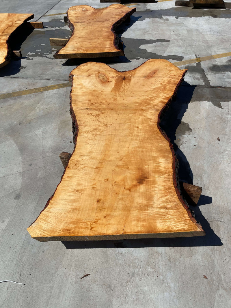 curly maple slabs